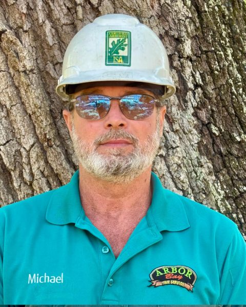 About Us | Arbor Bay Inc